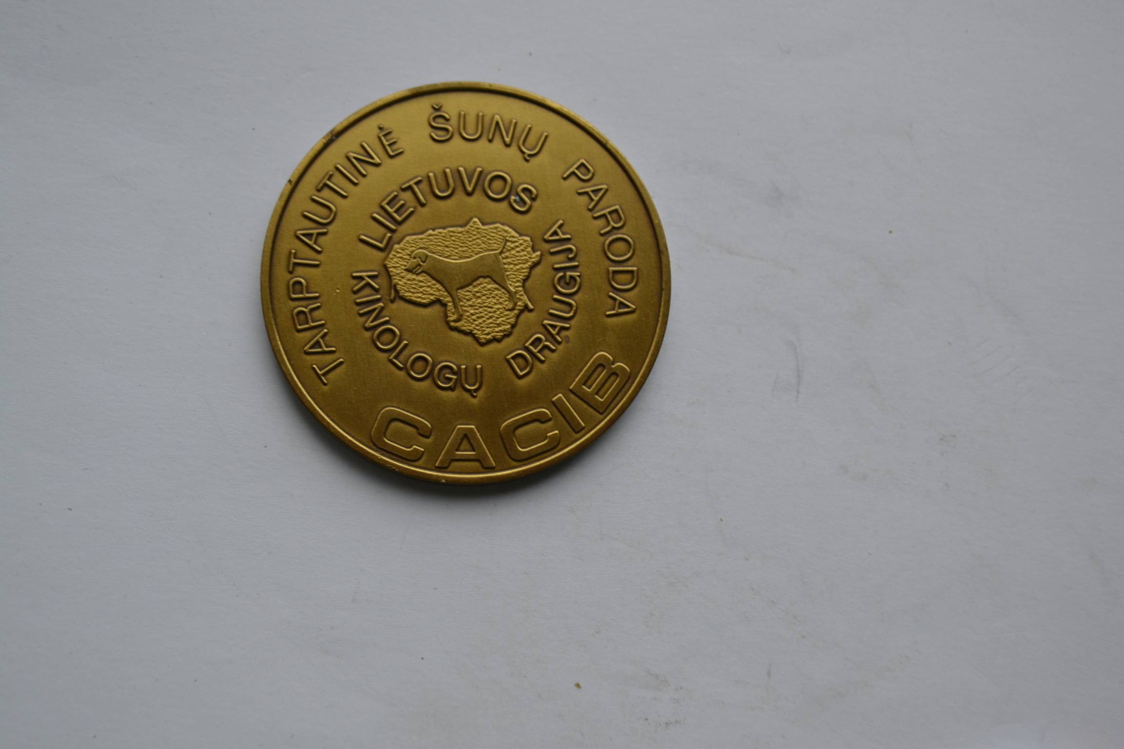 Lietuva tarptautine sunu paroda | 27353510