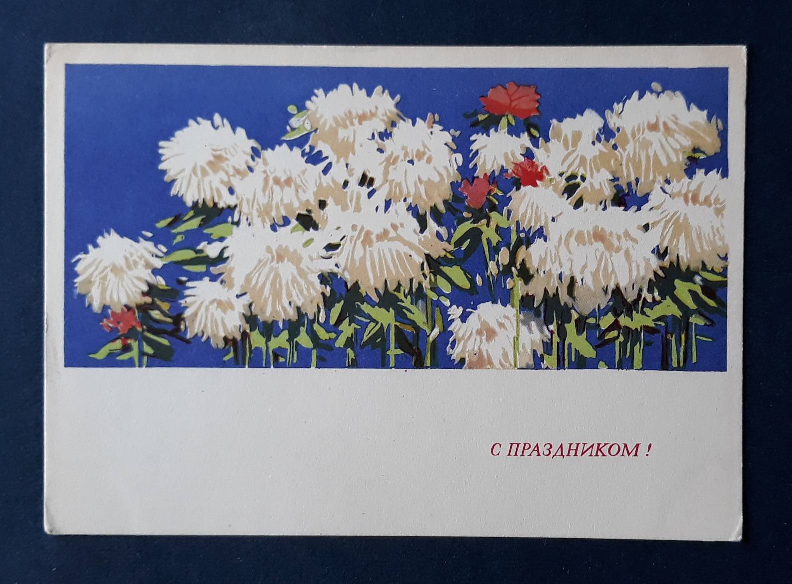 CCCP 1963 Gėlės, Pasveikinimas 122 švari | 26467452