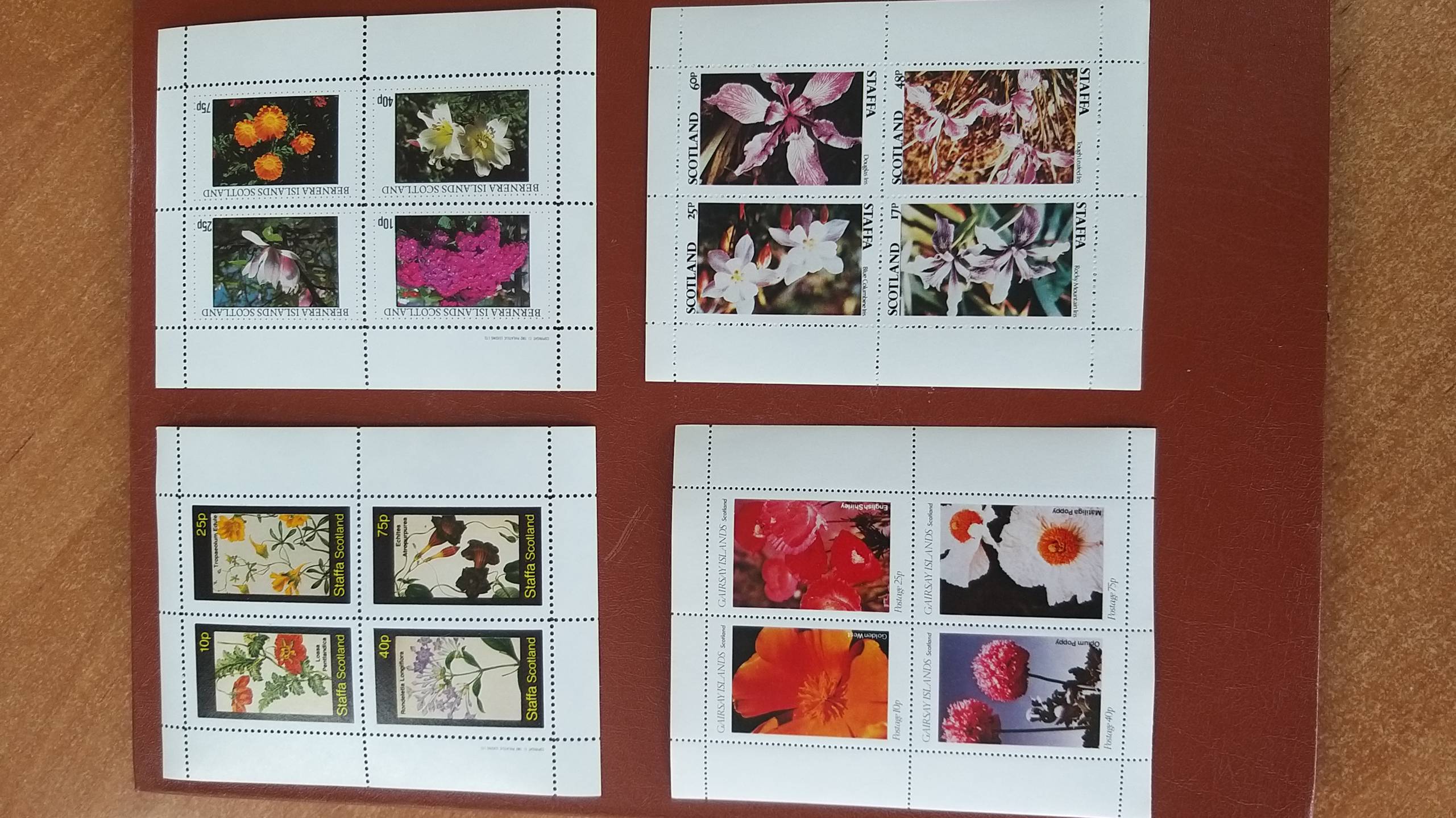 Skotijos zenklu lapeliai | 26974001