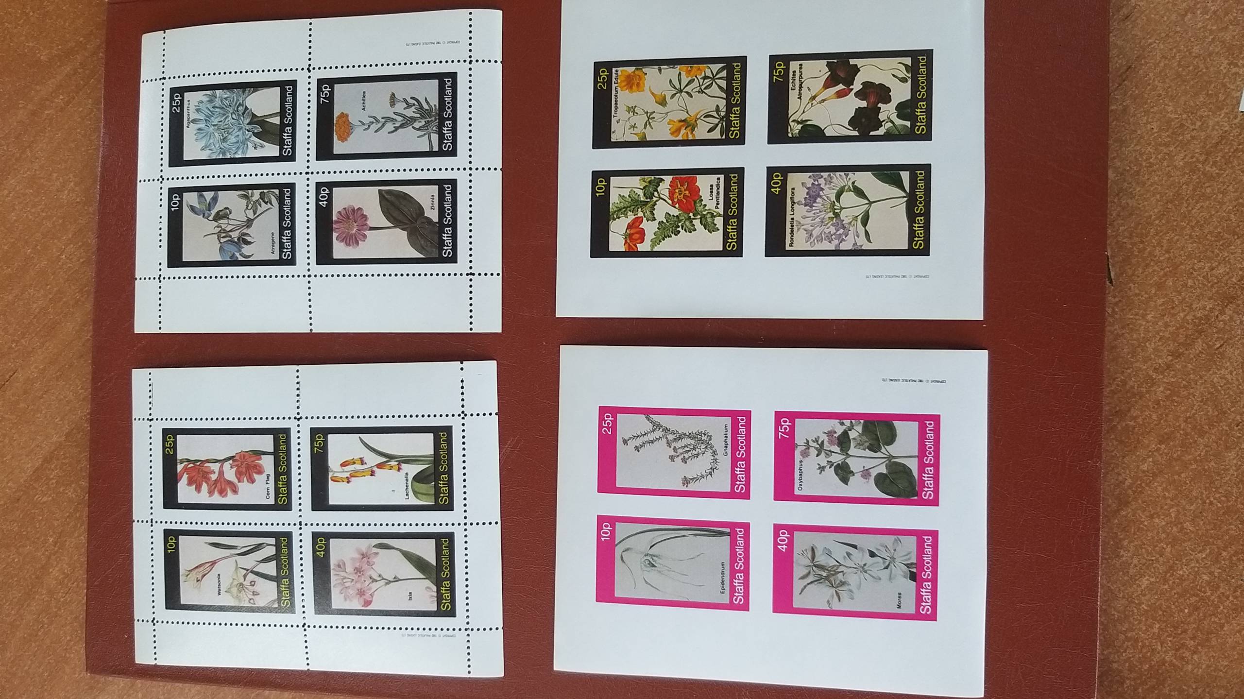 Skotijos zenklu lapeliai | 26974001