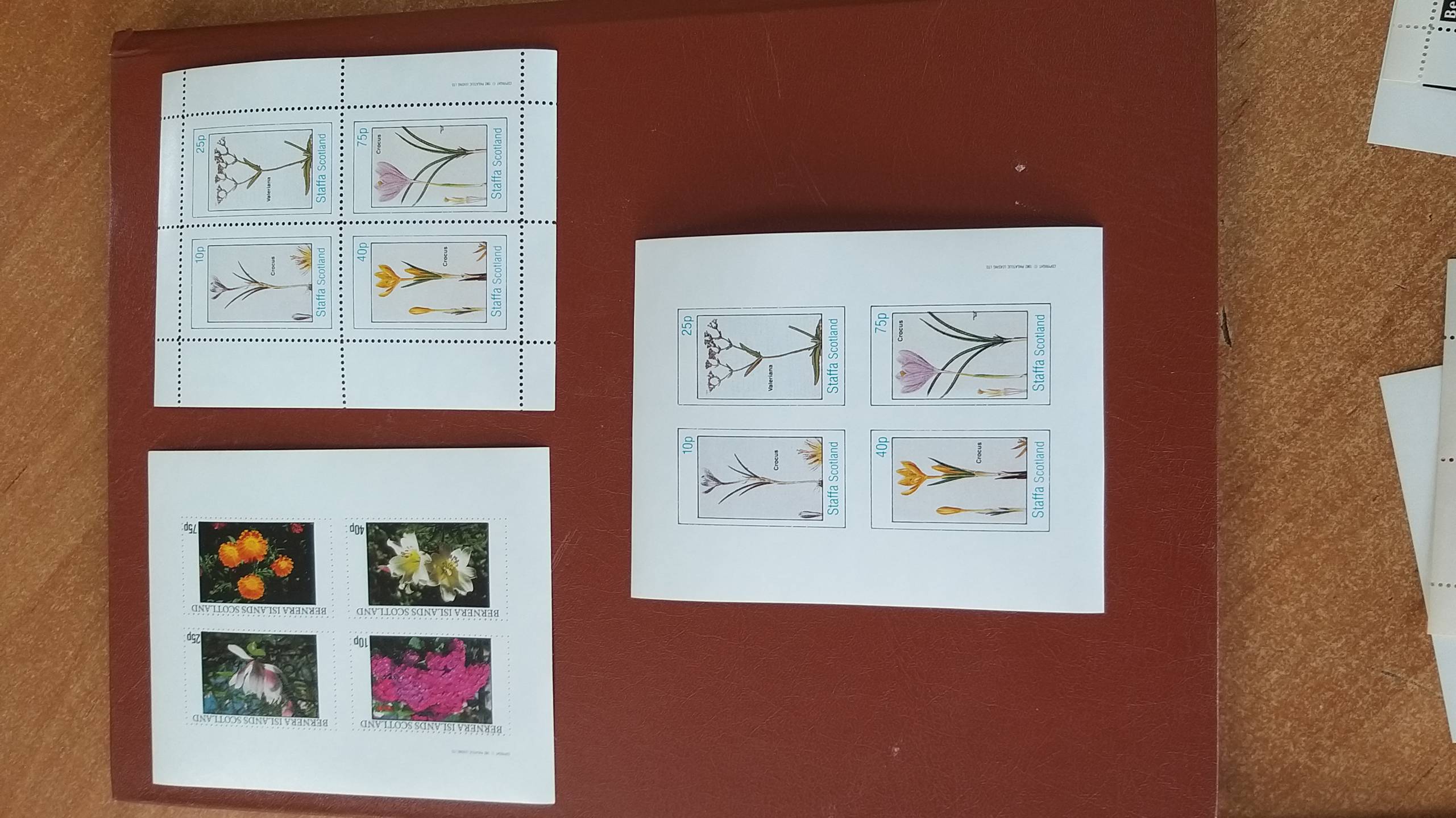 Skotijos zenklu lapeliai | 26974001