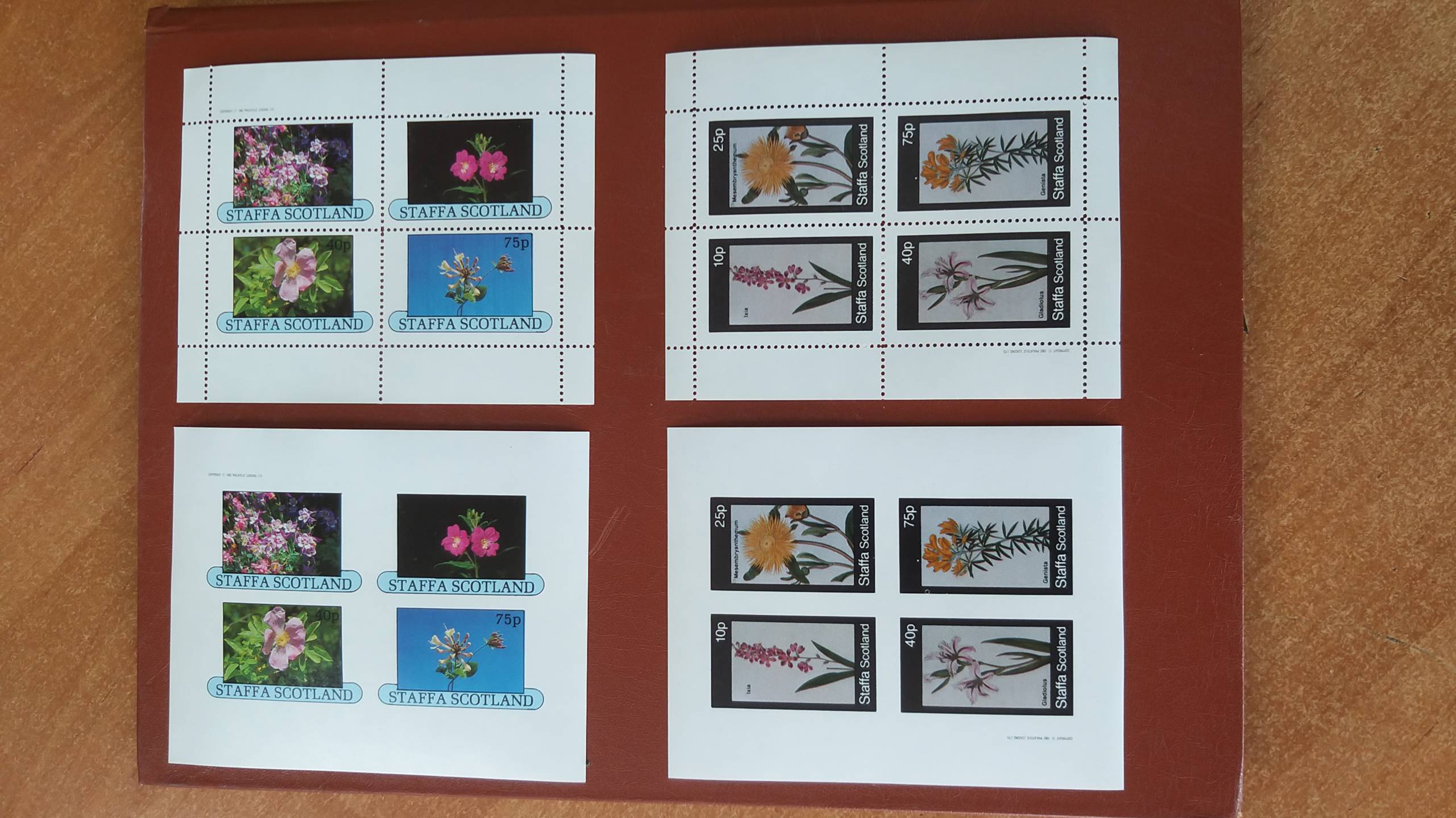 Skotijos zenklu lapeliai | 26974001