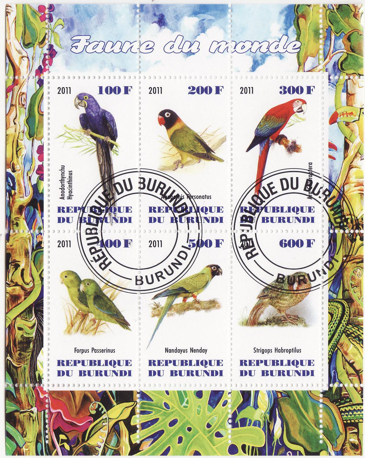 Burundi 2011m.Papugos | 27837908