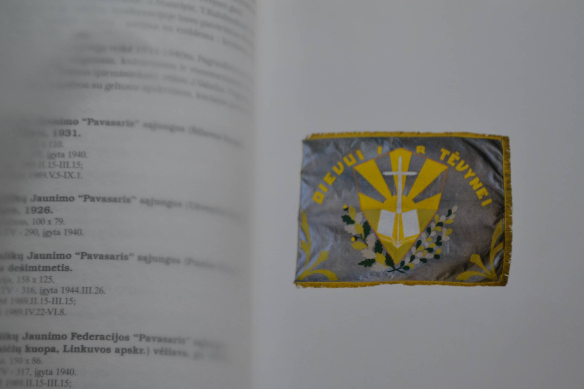 Tarpukario Lietuvos organizaciju veliavos su apras | 31455653